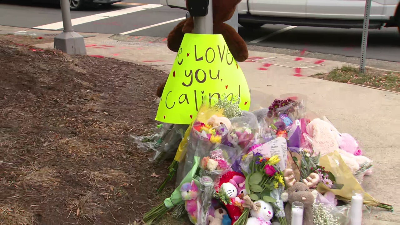 Stone Bridge High School student identified after being struck, killed ...