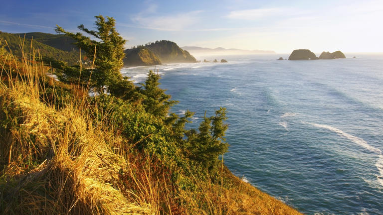 Human Remains Washed Up on Beach Identified by DNA Decades On