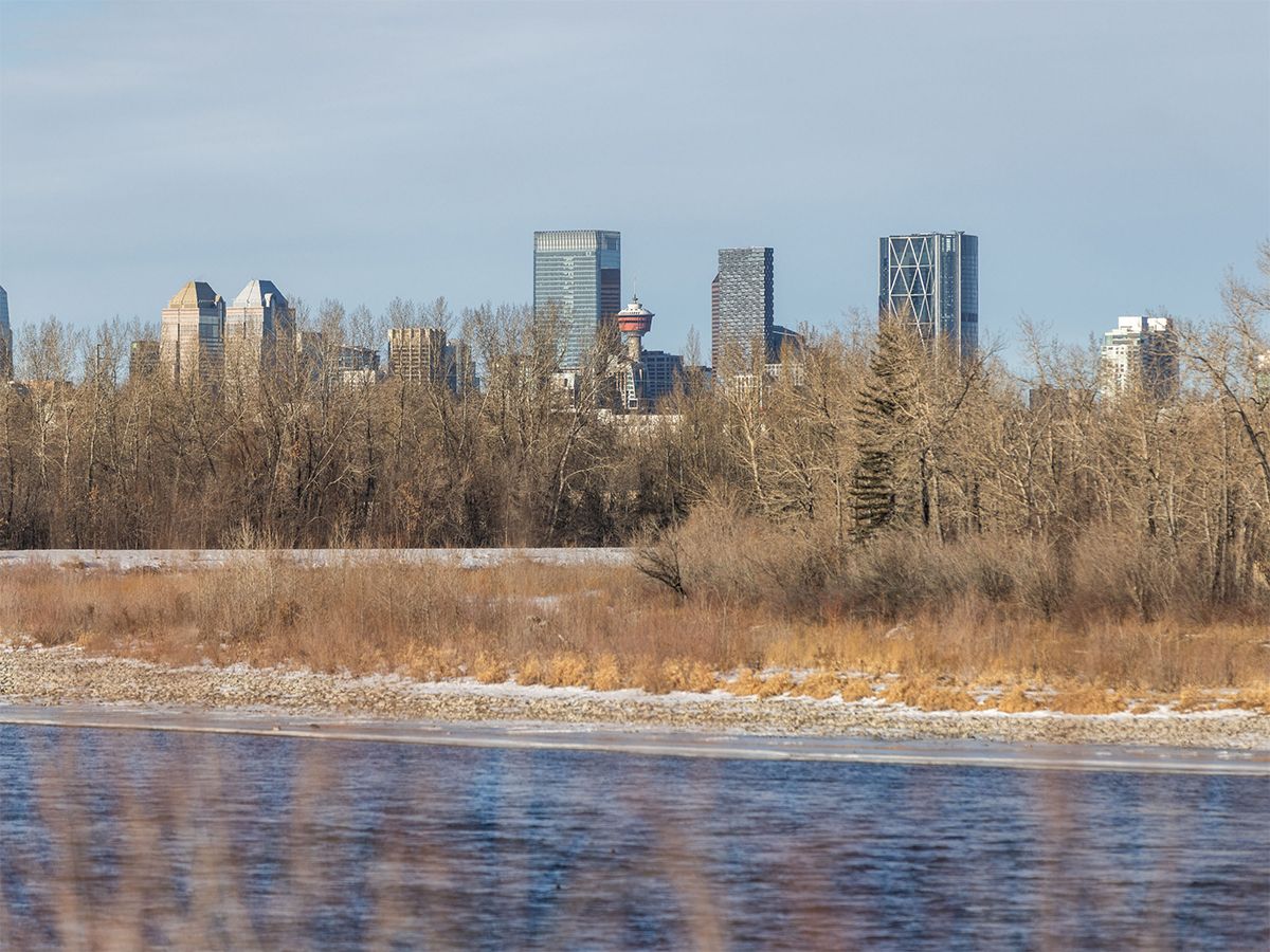Calgary basks in record high temperatures, could smash January benchmark