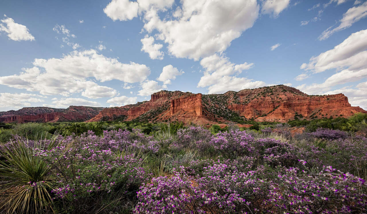 The stars at night are big and bright at this state park in Texas, says ...