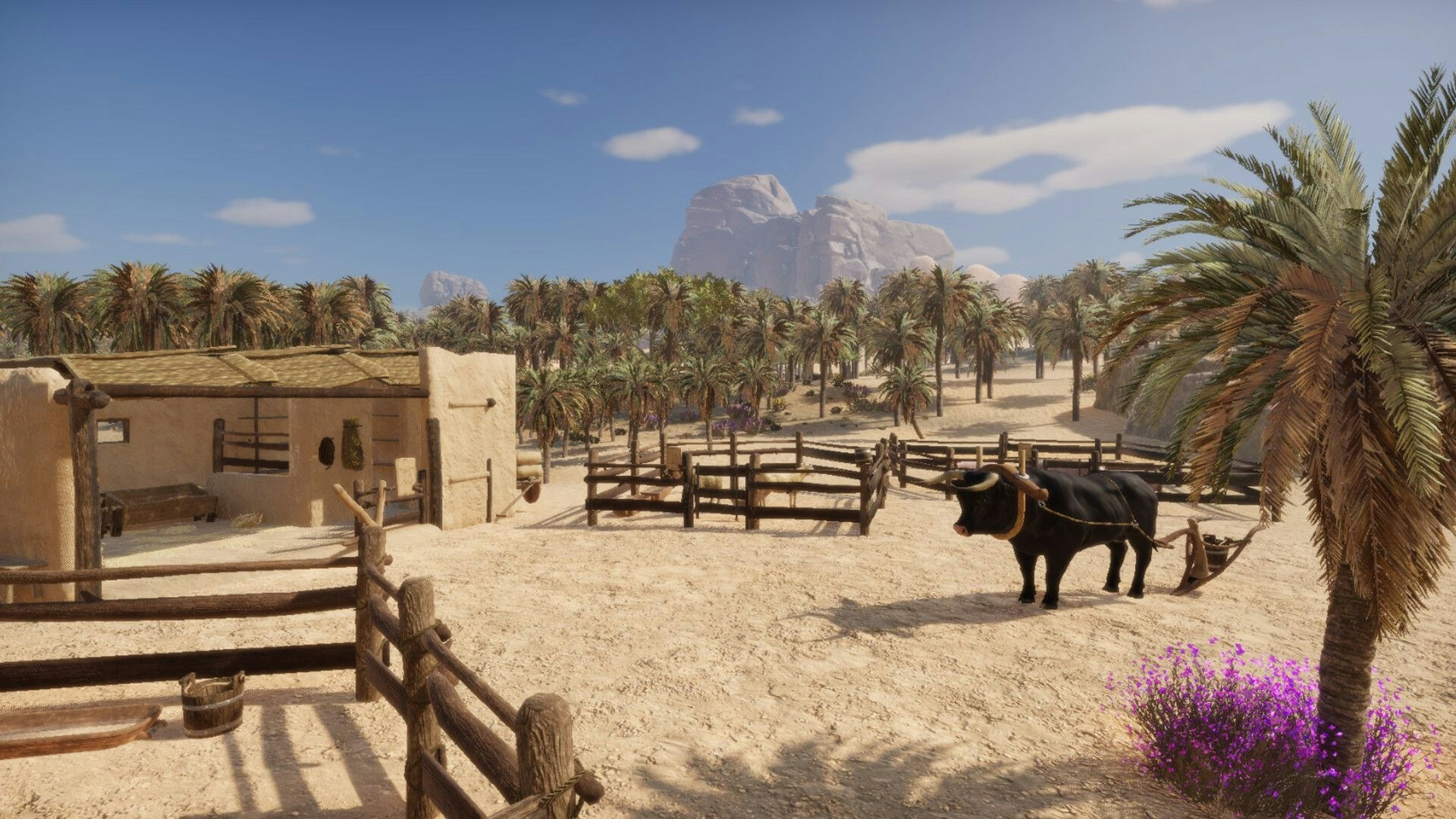 Ancient Farm – Wenn Ägyptens Sand zum Acker wird