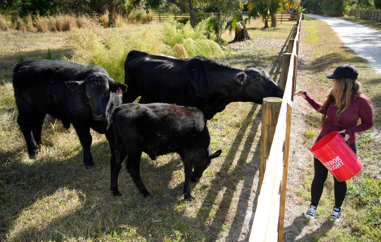 Why Sarasota’s $15M Manasota Peach Road extension faces pushback