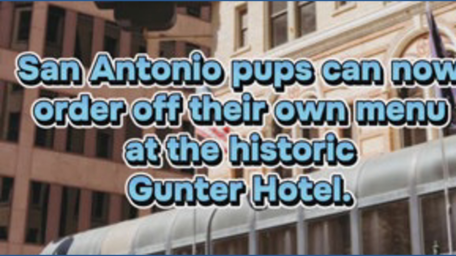 Gunter Hotel unveils chef-curated dog menu at Jots restaurant downtown