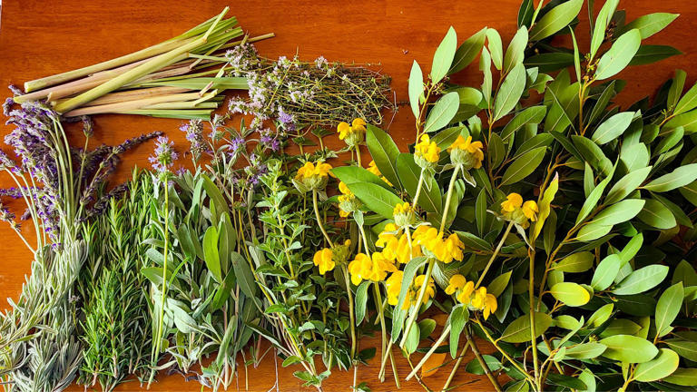 How to use woody herbs to enhance your meals