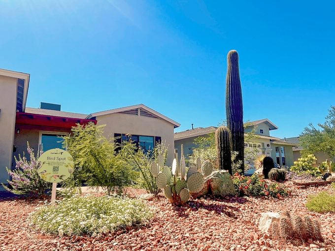 Join the Garden for Birds project to boost backyard habitat