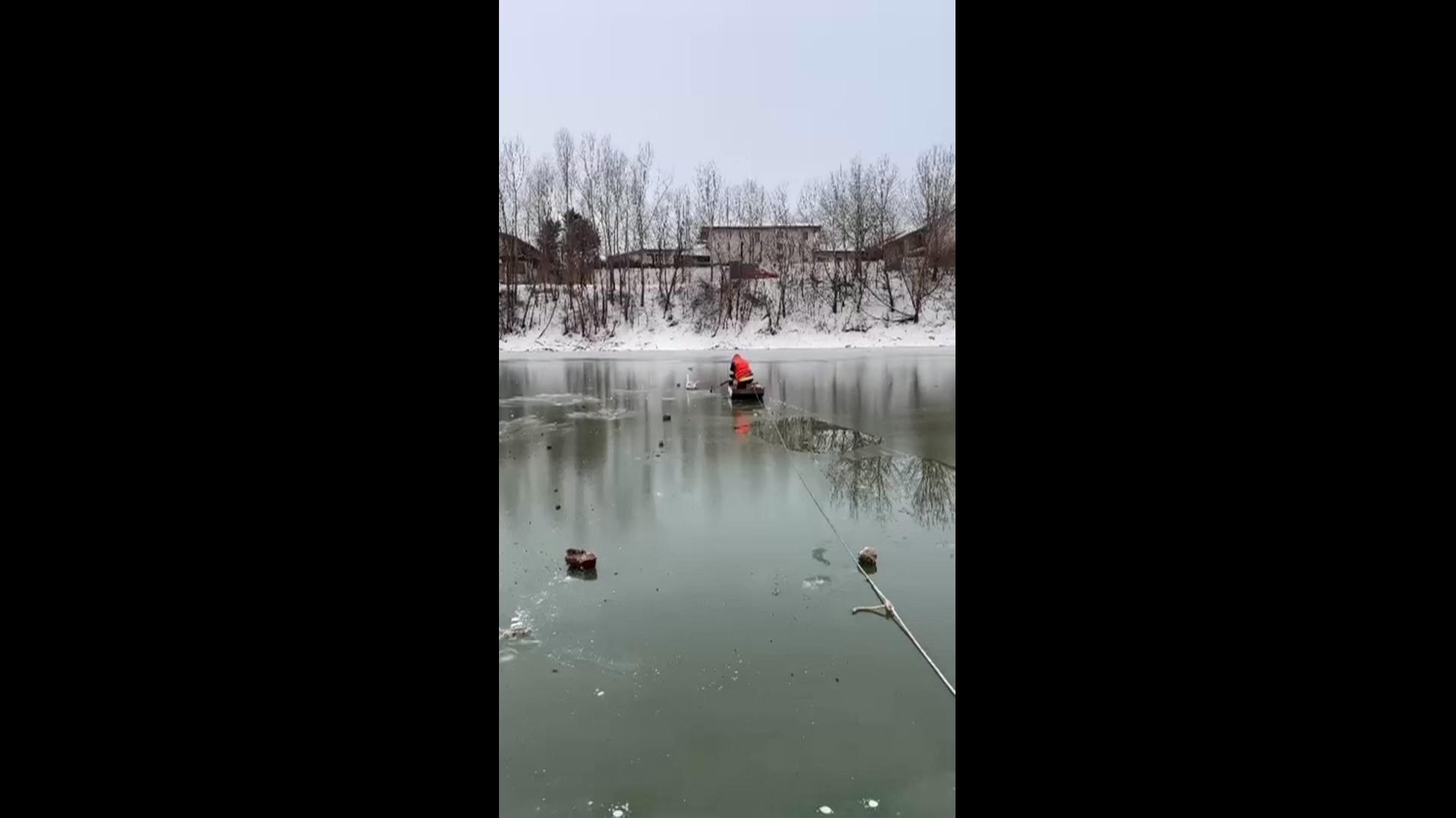 Romanian firefighters conduct special operation to save goose stuck in ...