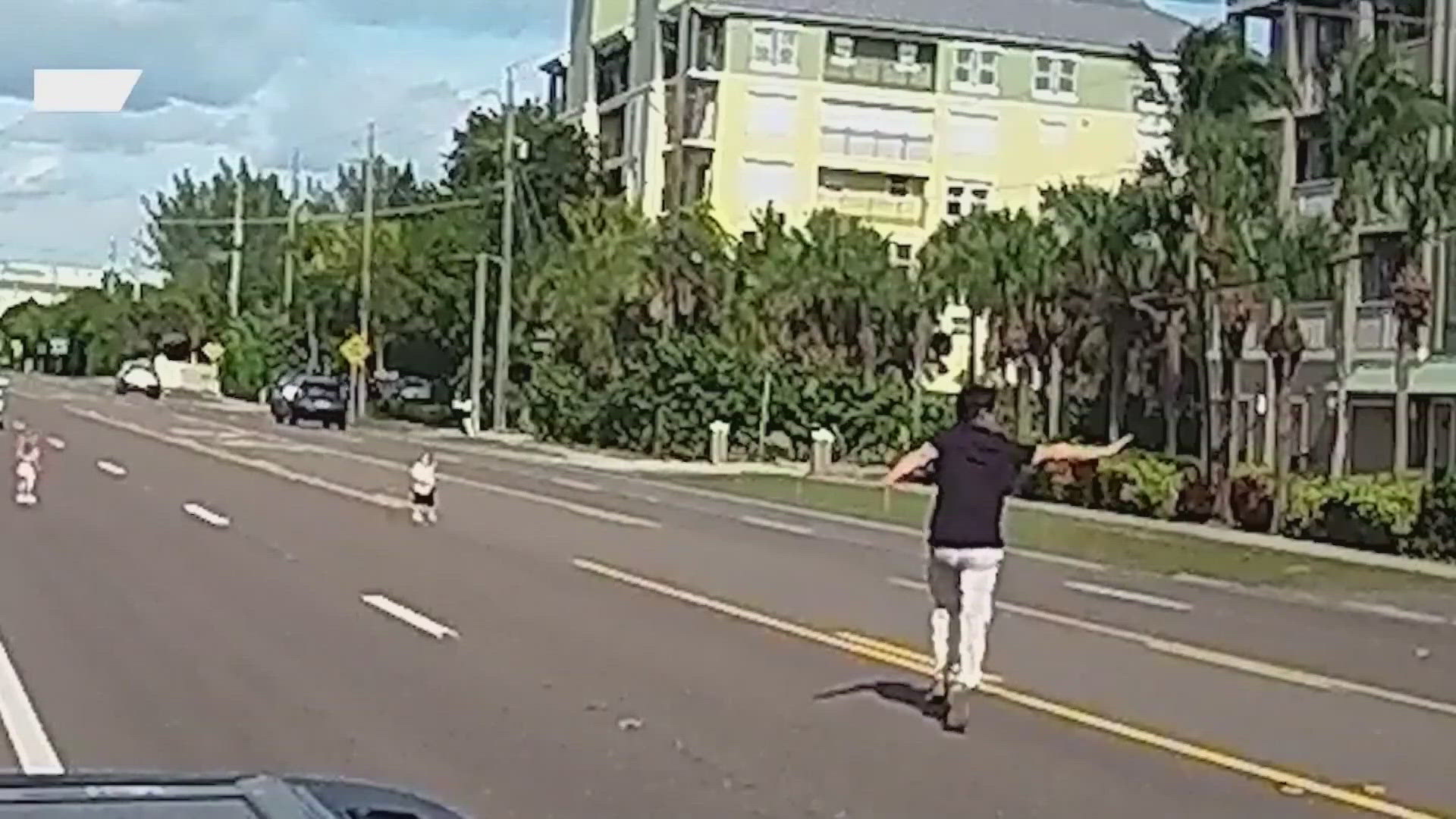 Man rescues toddlers form busy road