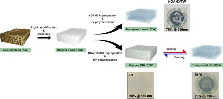 Scientists develop smart transparent woods that block UV and save energy