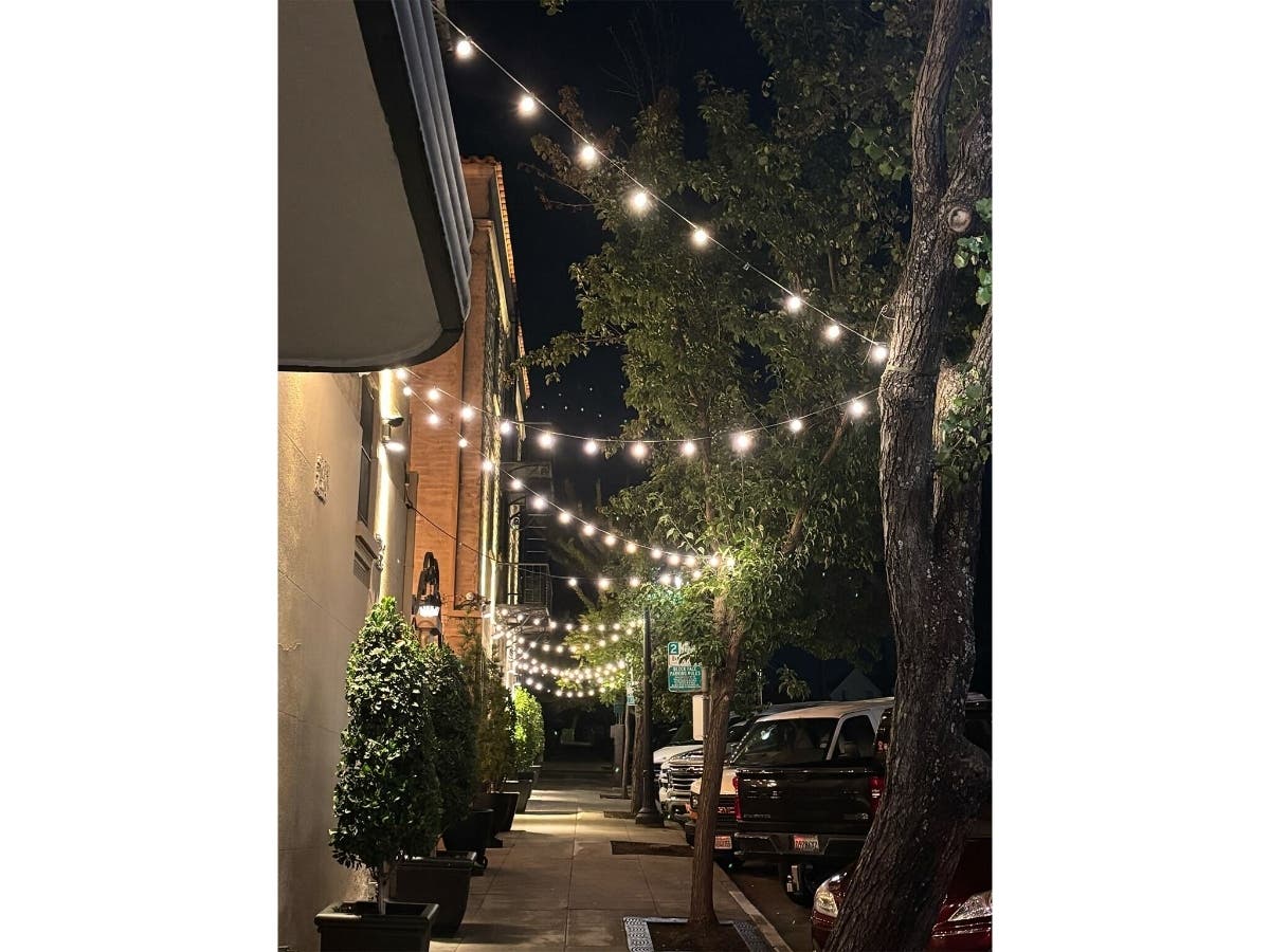 Why winter's better in Petaluma: Beat the blues with these local picks