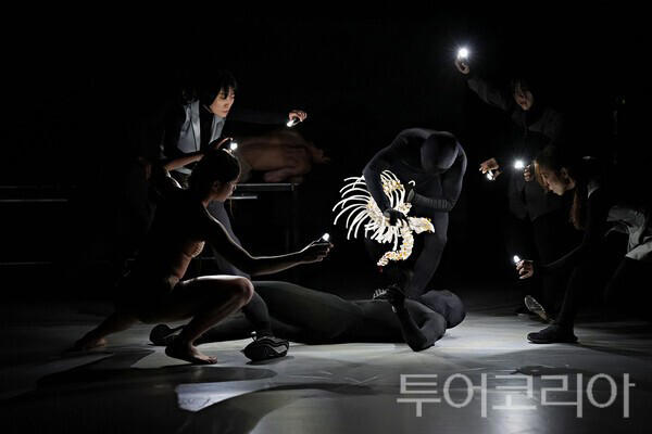 김경신 국립공주대 무용학과 교수, 신작 'JASON Project' 첫 공개