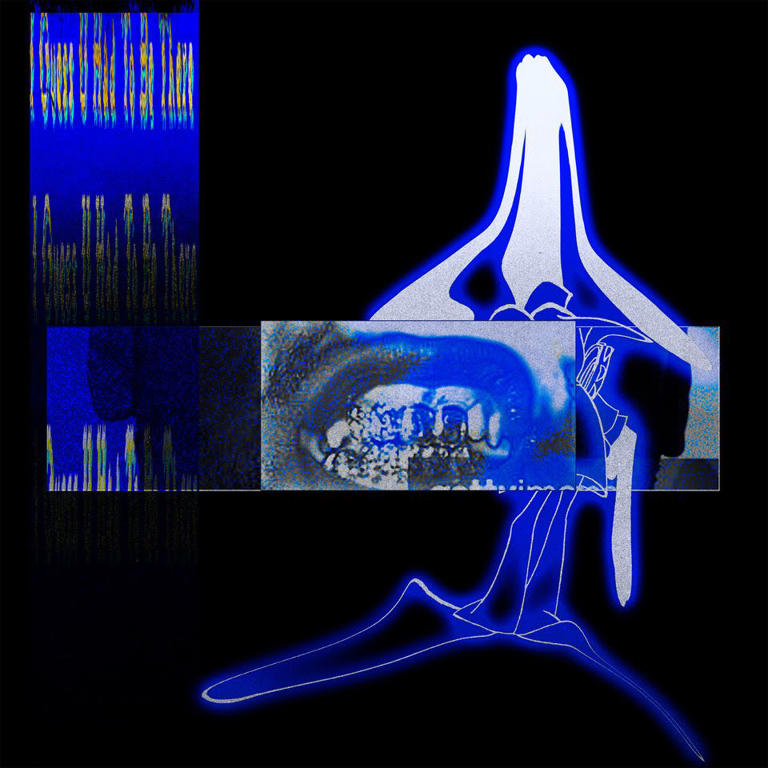 Elucid announces new album I Guess U Had to Be There