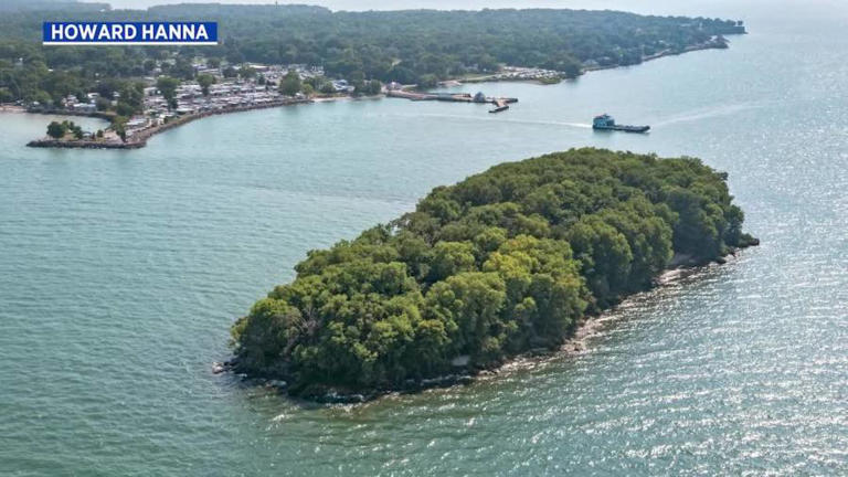 Photos: Want to own your own island on Lake Erie?