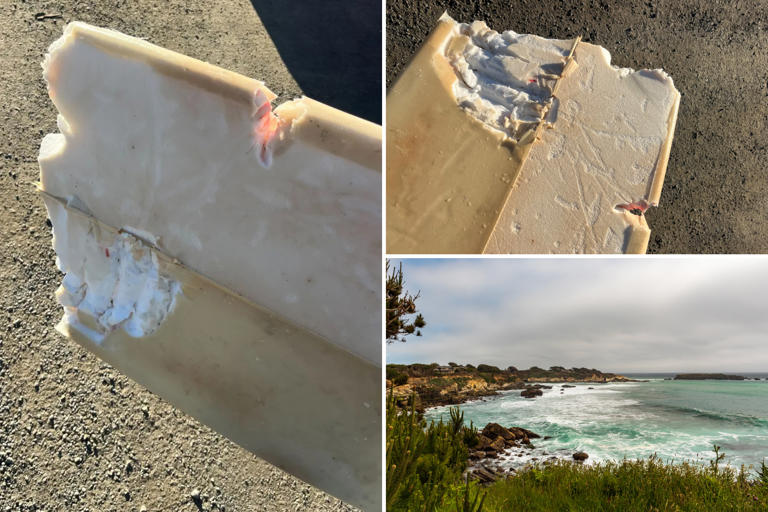 California surfer bitten by shark in state’s first 2026 attack: 'Like ...