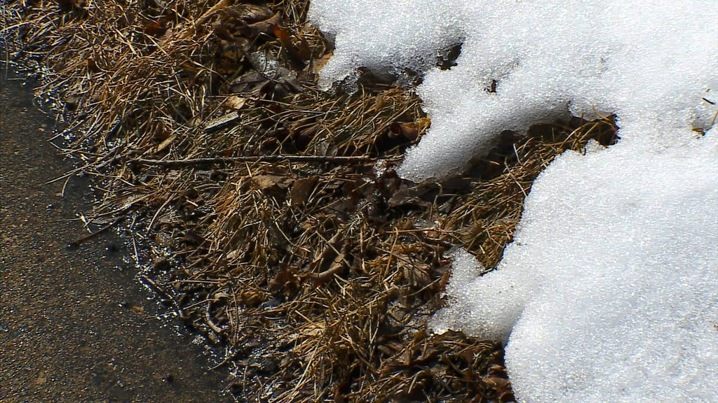 What is a "January thaw"? And what does it mean for Minnesota's winter ...