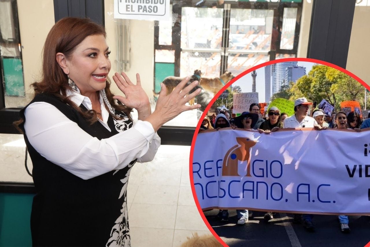 Tras protestas por rescate masivo de perros en Refugio Franciscano ...