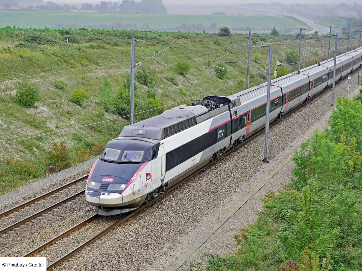 Optimum Plus : la nouvelle classe premium dans les TGV de la SNCF tient ...