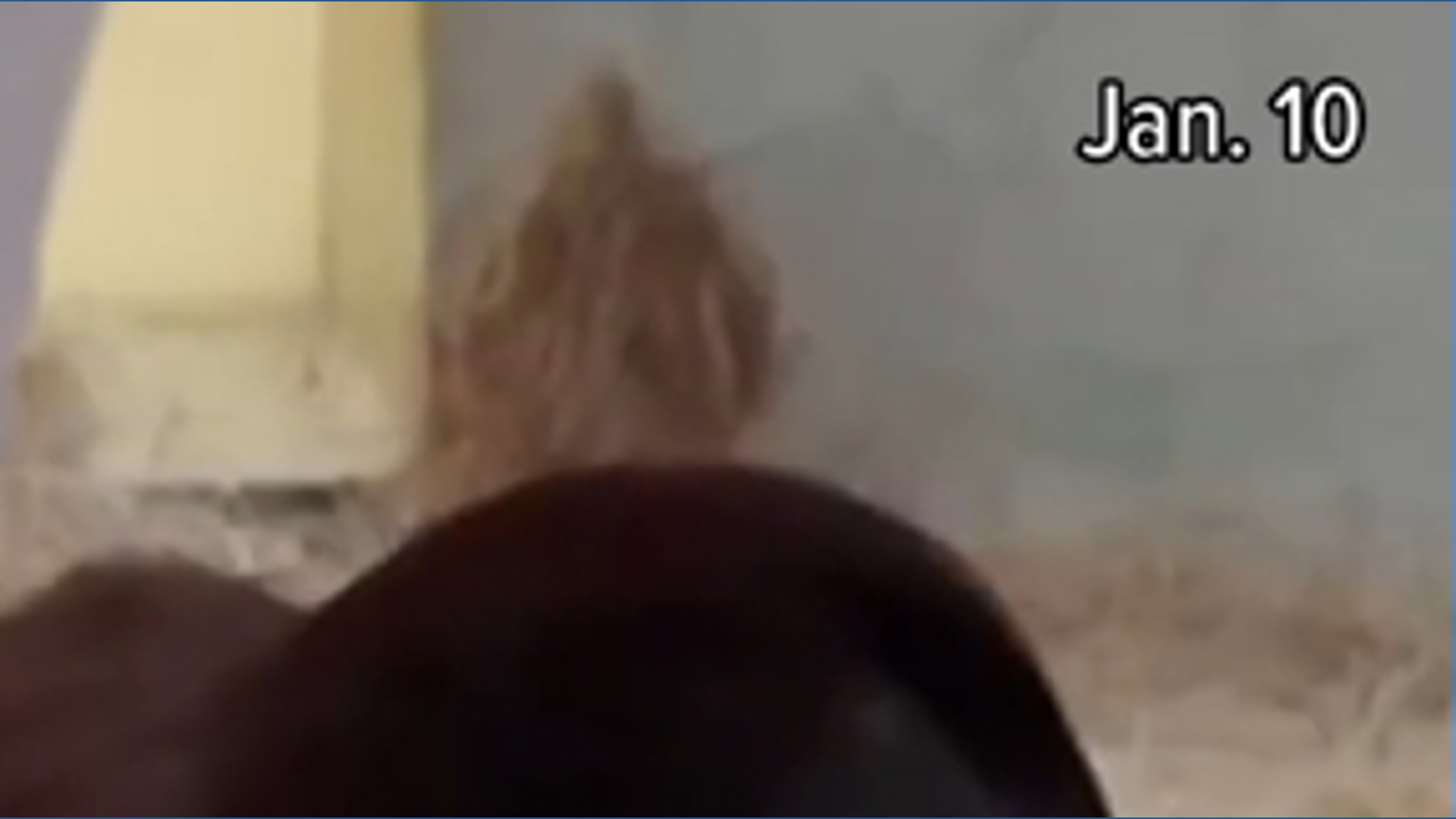 Cameron Park Zoo hosts name, gender reveal for baby orangutan