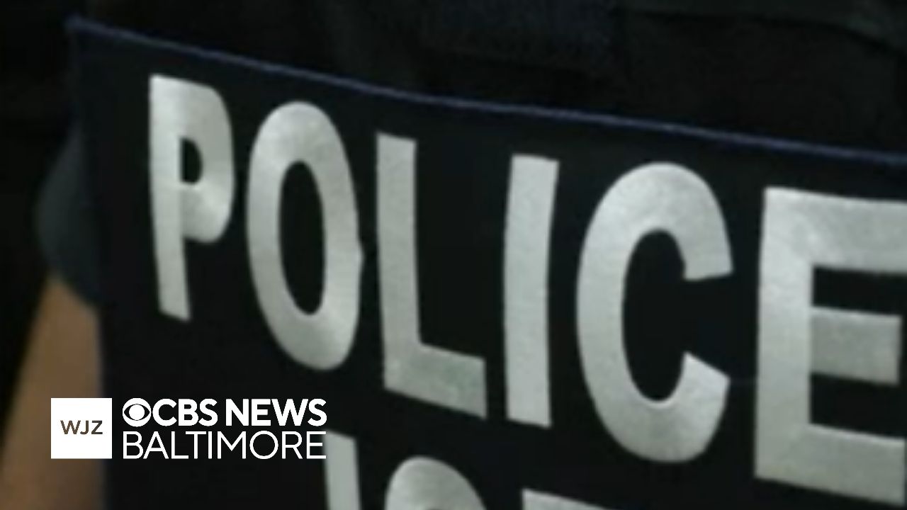 At least 7 detained by ICE in Annapolis area, county executive says