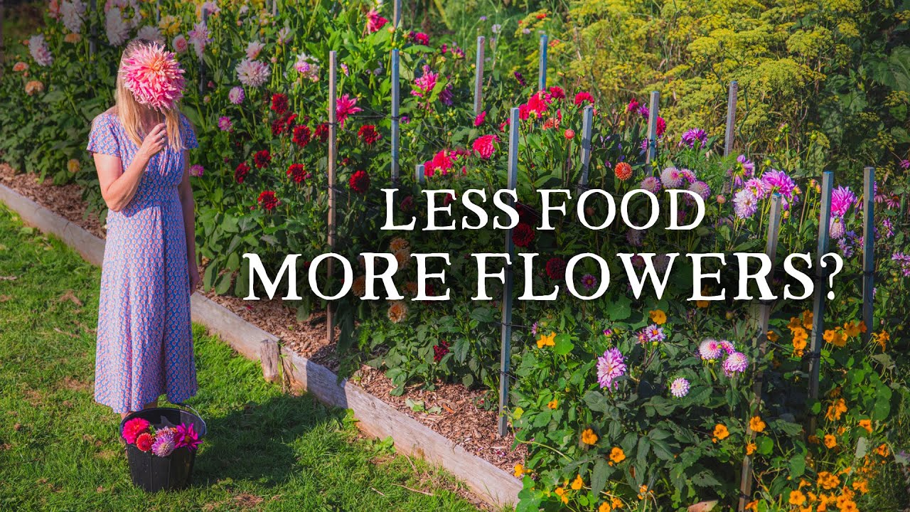 Why your garden needs more flowers