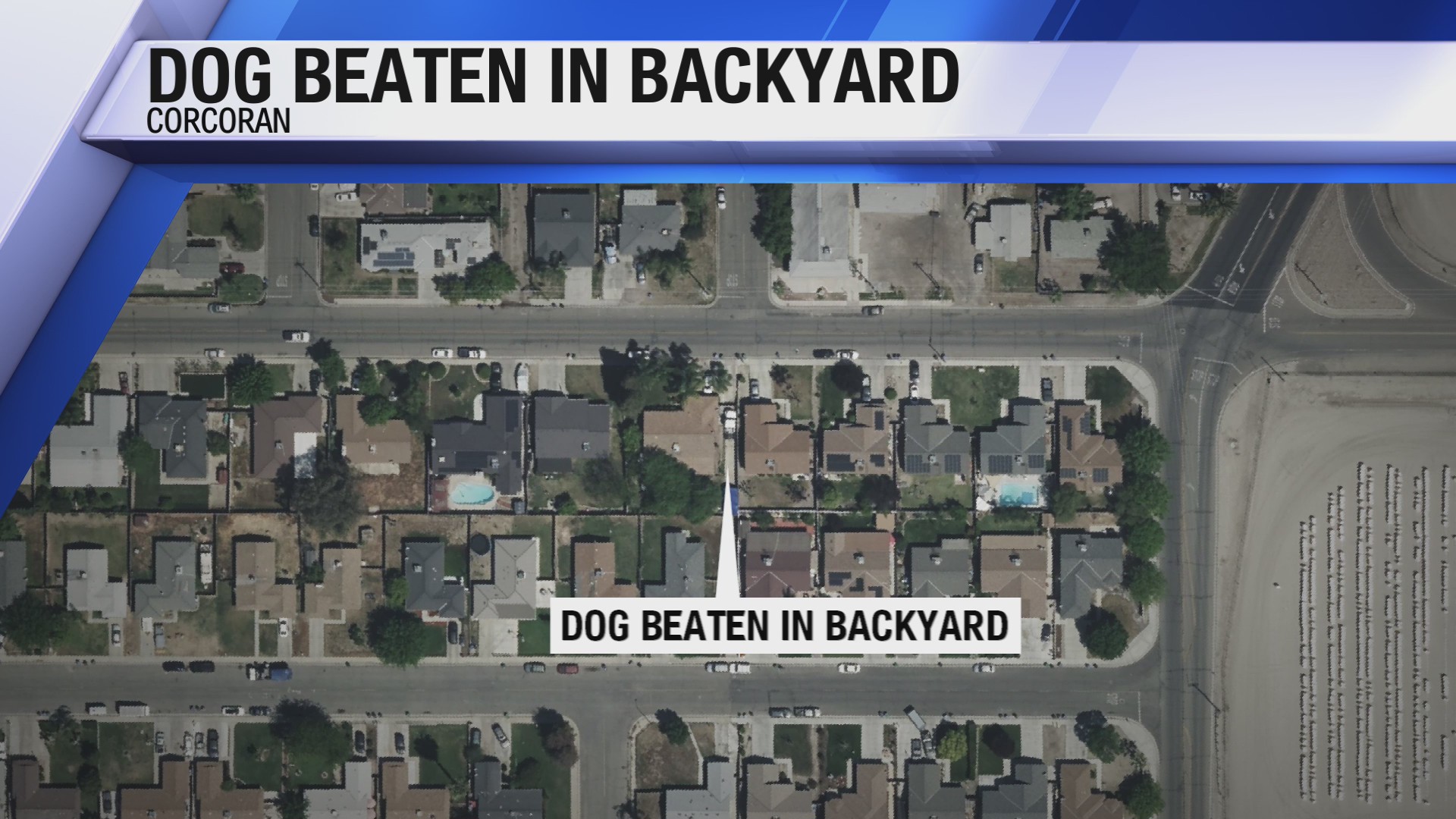 Police investigating after Corcoran dog beaten to point of near death