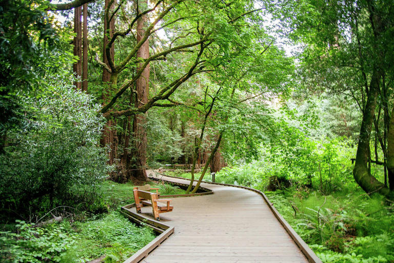 How a woman's day hike in Marin turned into a 20-mile disaster
