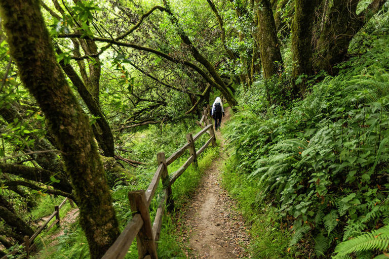 How a woman's day hike in Marin turned into a 20-mile disaster