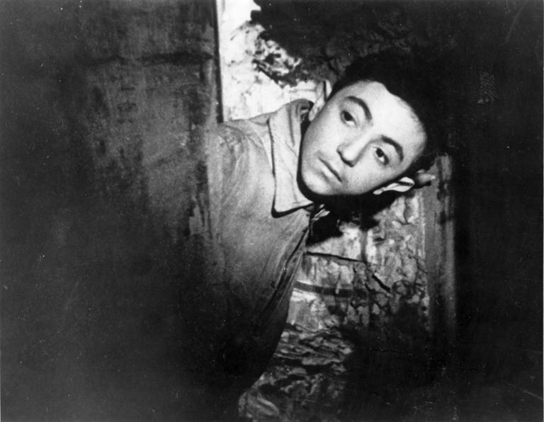 A month of remarkable movies in New York