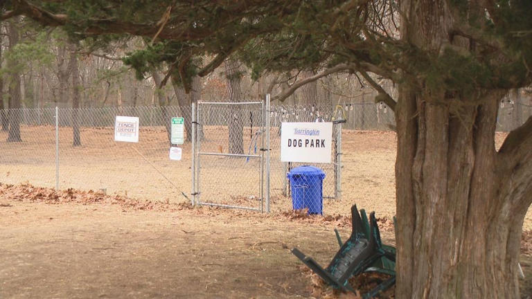 Barrington Town Council proposes dog park in memory of plane crash ...