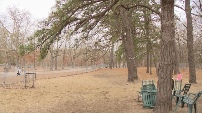 Barrington dog park to be dedicated in memory of plane crash victim ...