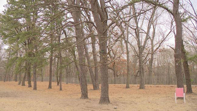 Barrington dog park to be dedicated in memory of plane crash victim ...