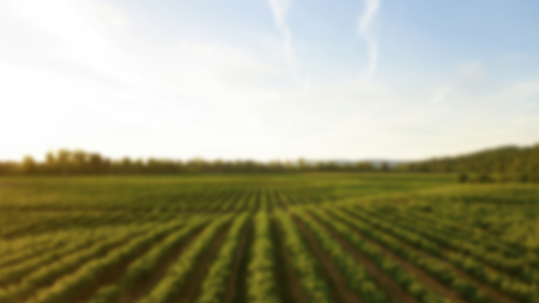 Coroner: Elderly man dies after heavy machinery incident at Georgia farm