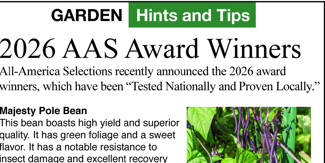 2026 All-America Selections winners