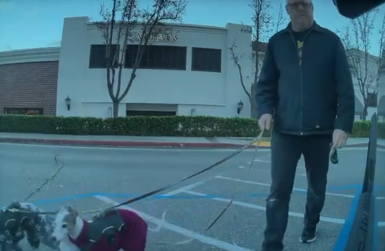 Video: Man leaves dog poop on parked Cybertruck in CA