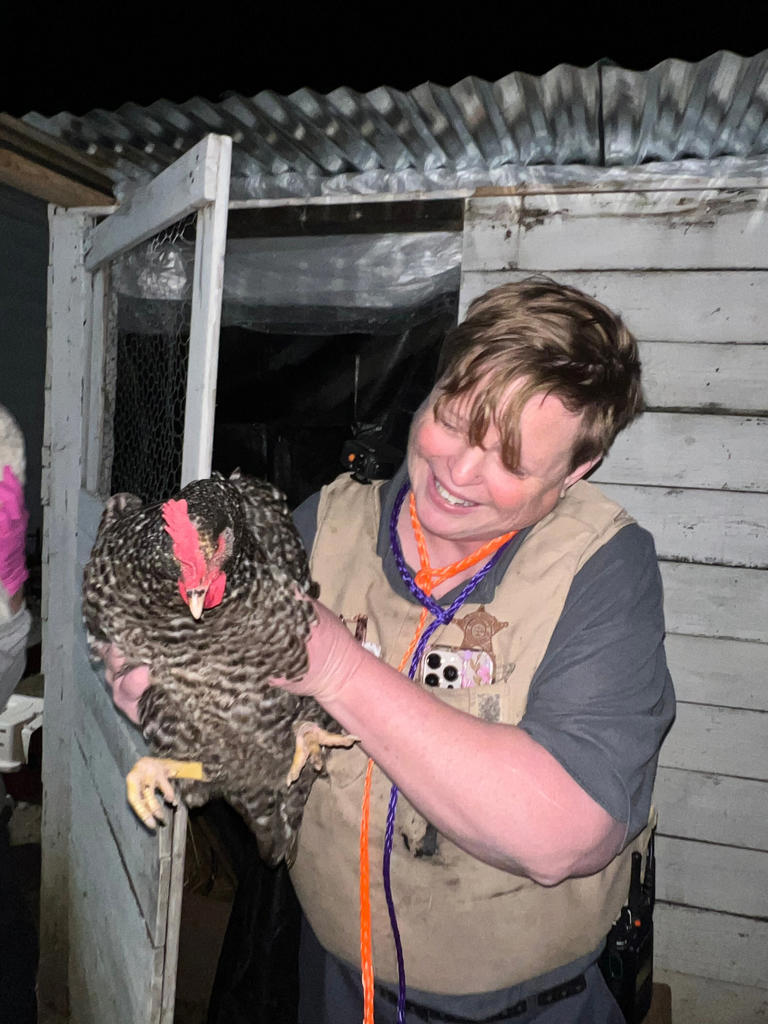 EPD: Two arrested on 54 animal neglect charges each