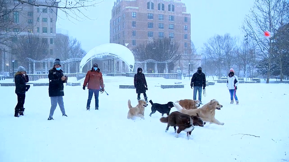 Examining Asheville's snow averages: A look at Jan. 2025 and historical ...