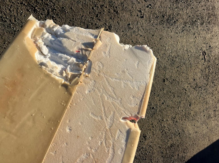 California surfer bitten by shark in state’s first 2026 attack: 'Like ...