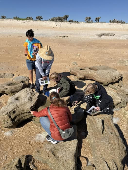 Sustainable Futures career exploration week to introduce students to ...