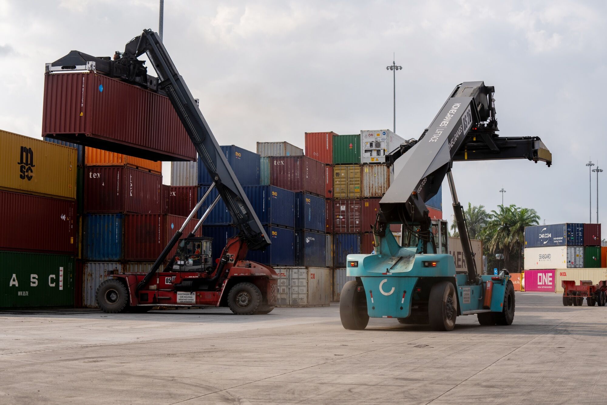 Trump’s Honduras favorite vows to take office despite resistance