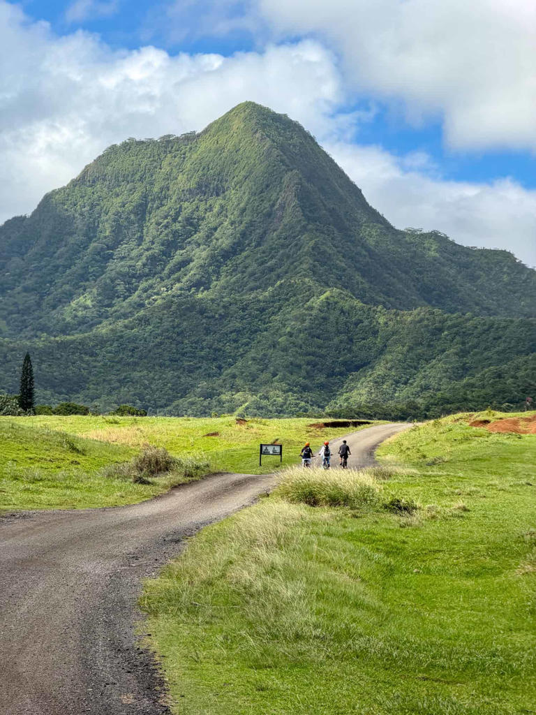 My experience on the Jurassic Adventure Tour at Kualoa Ranch, Oahu