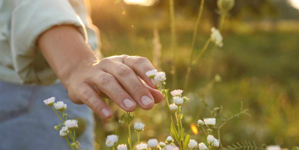 Why looking for “glimmers” matters for mental health—plus other easy ...