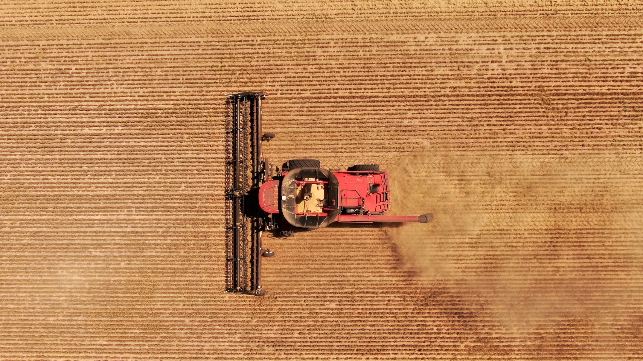 Drought-hit grain growers make every drop of rain count