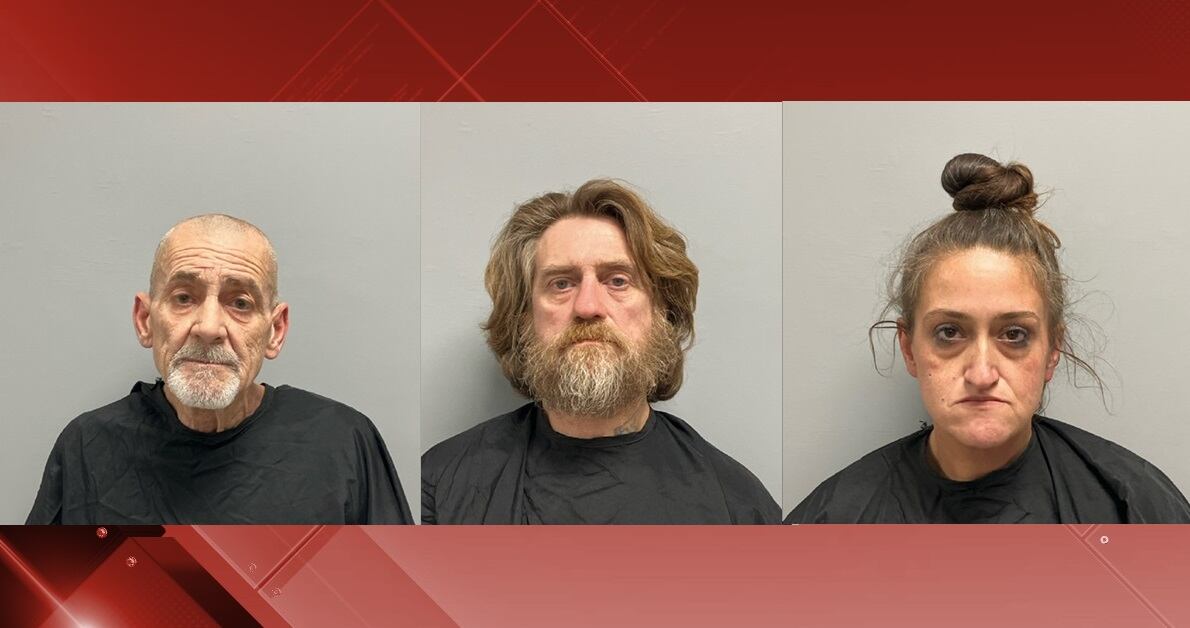 Three arrested after search leads to narcotics, guns and flea-ridden ...