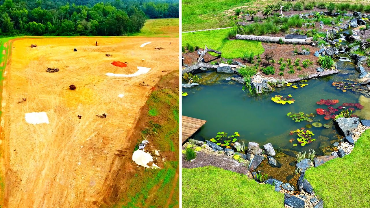 Building a cheap vs expensive pond!