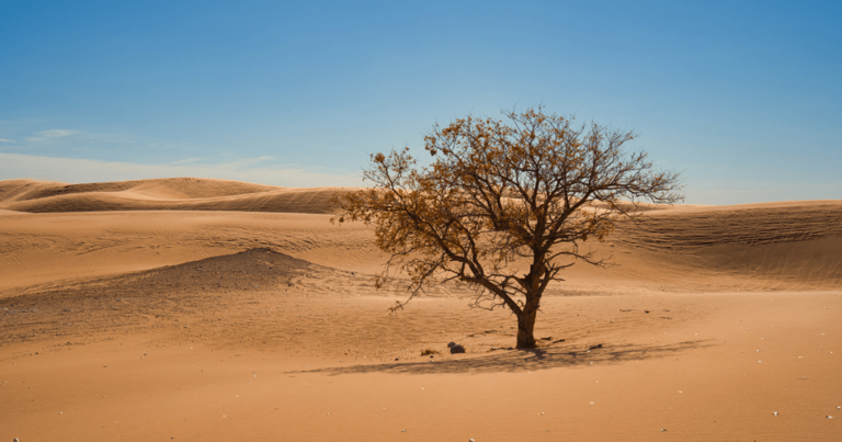 These 4 Oklahoma small towns look like they belong on TV