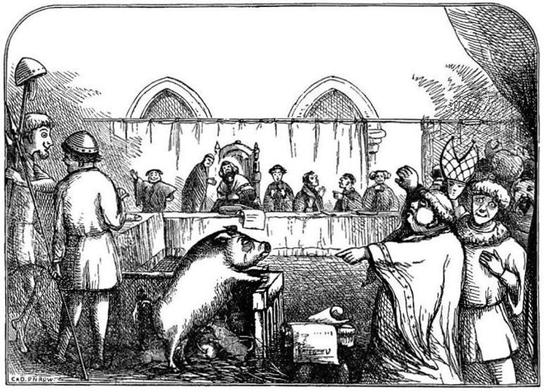 Medieval France put pigs on trial for murder - complete with lawyers ...
