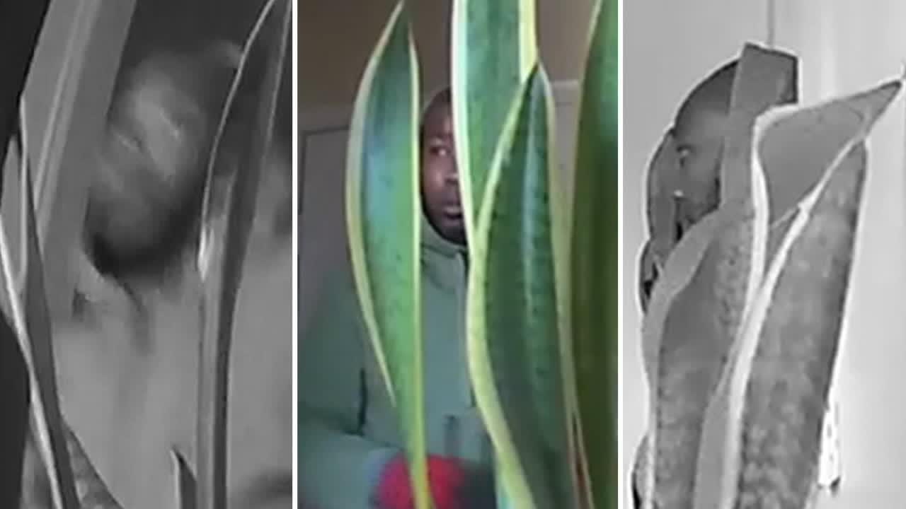 Trackdown: Burglar targets senior citizens in Mesquite
