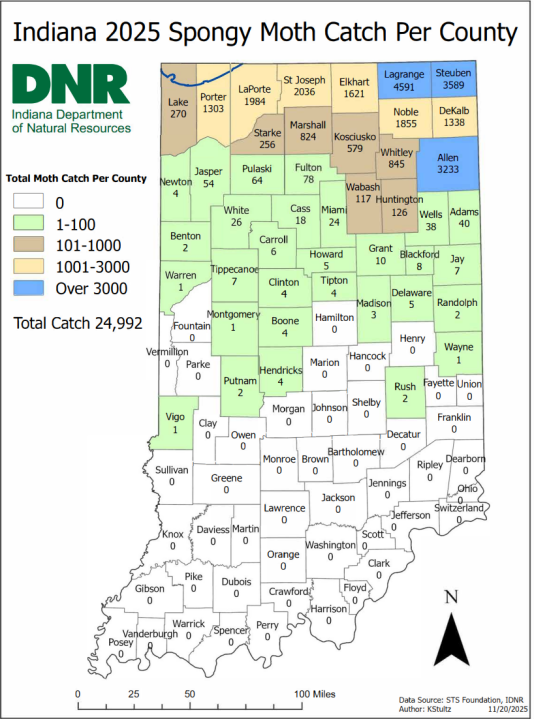 DNR eyes Huntington County for invasive spongy moth treatments in 2026