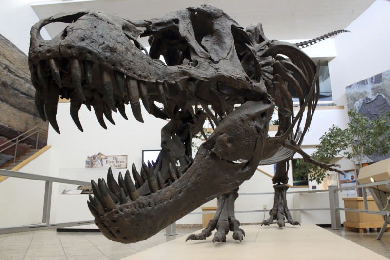 T rex took 4 decades to reach full giant size