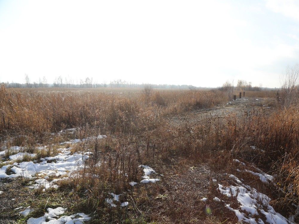 Council votes to give staff go-ahead to buy east-end landfill site for ...