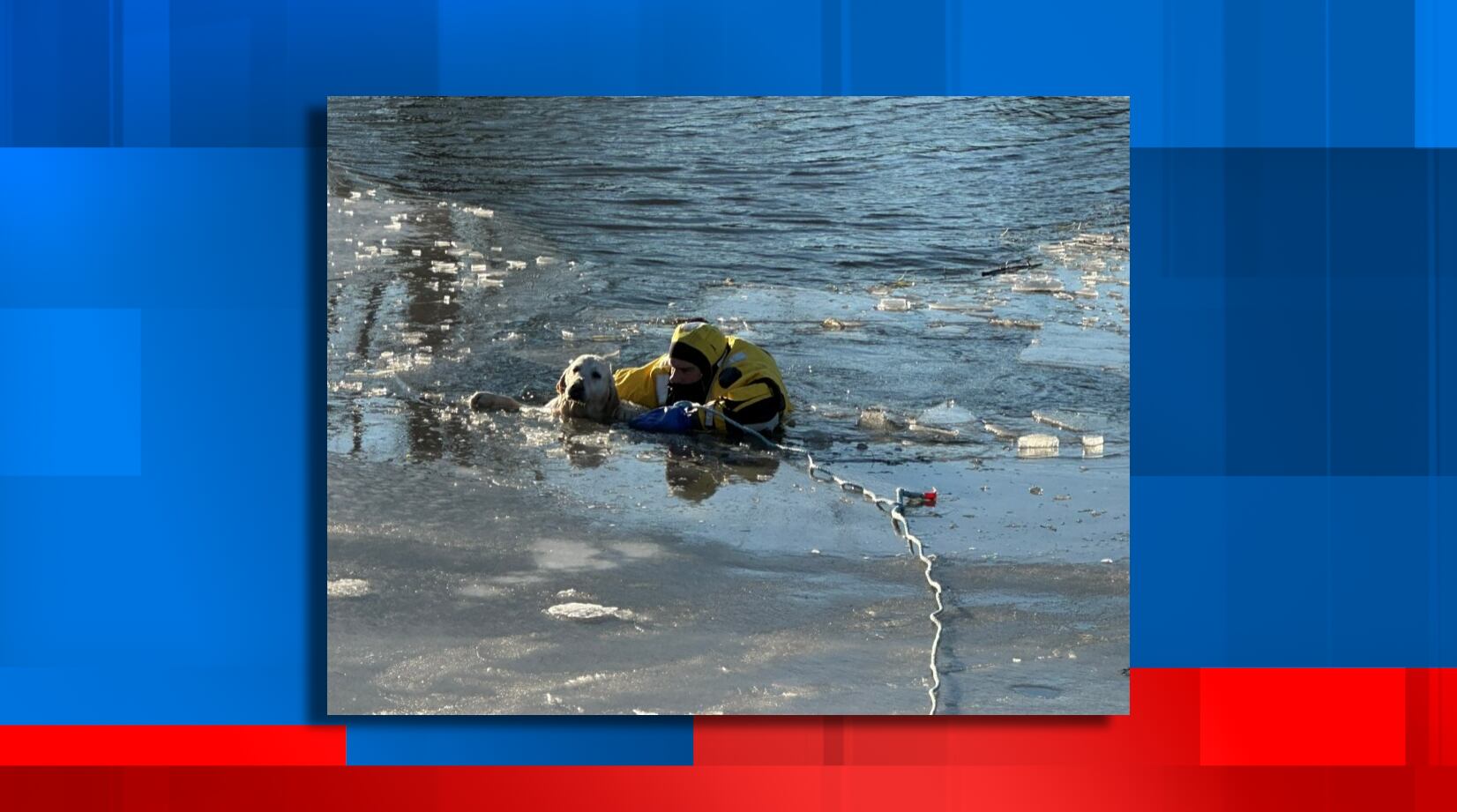 Photos: Local first responders save dog from drowning in frozen pond